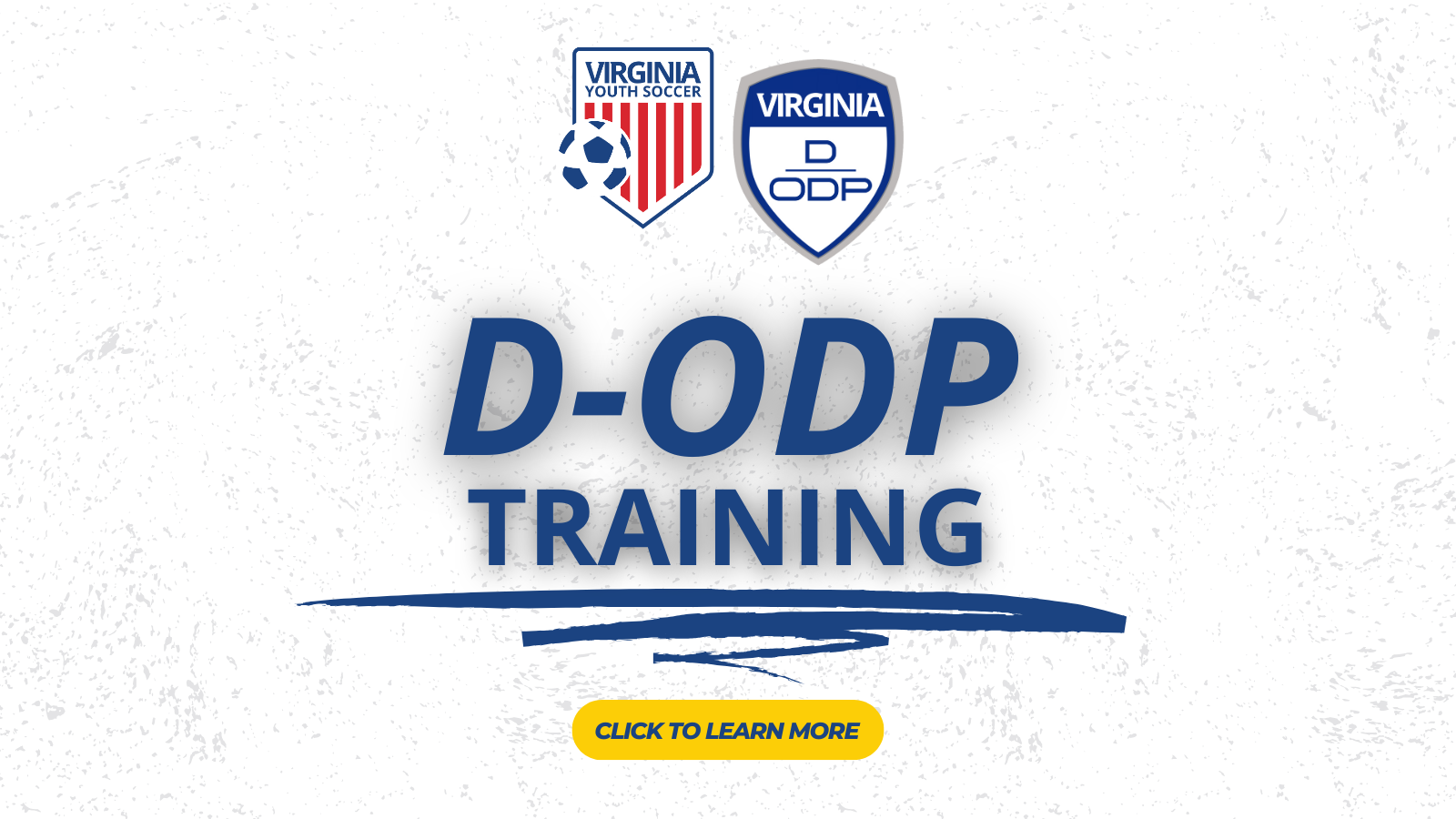 - Virginia Youth Soccer Association